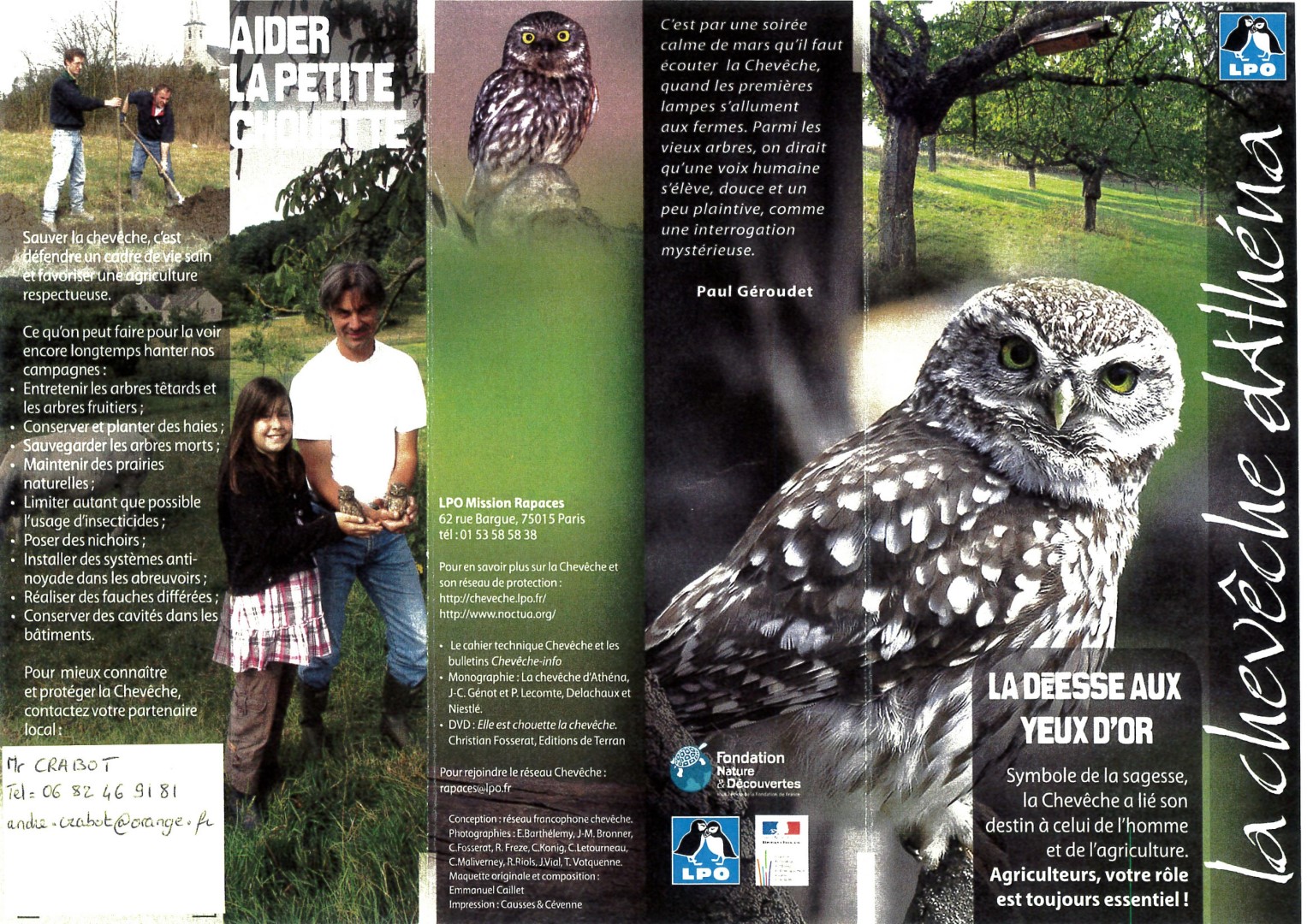 La chouette chevêche est présente sur la commune – Quéménéven Kemeneven